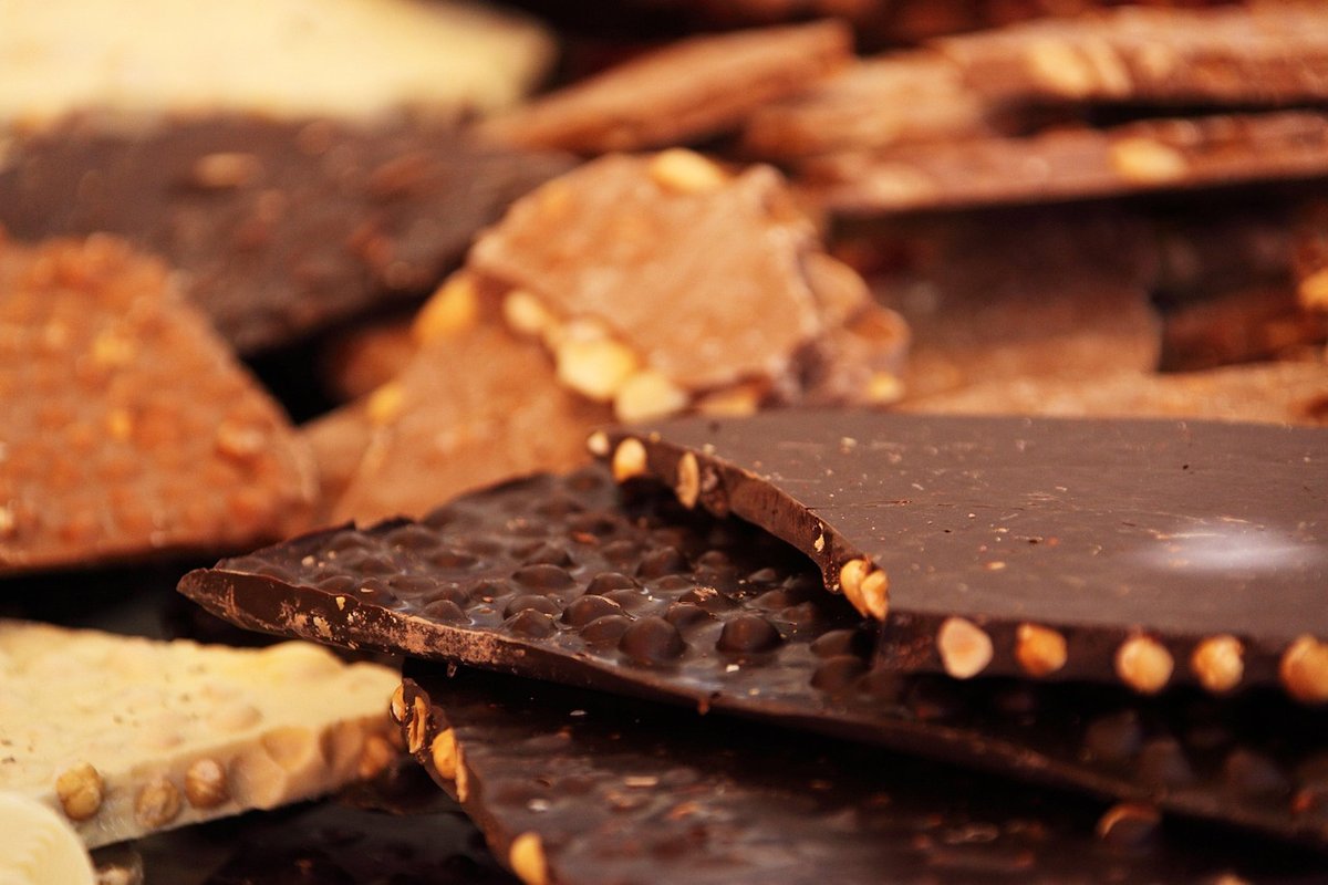 Mastering the Chocolate Egger: A Comprehensive Guide - Feathered Farm Life
