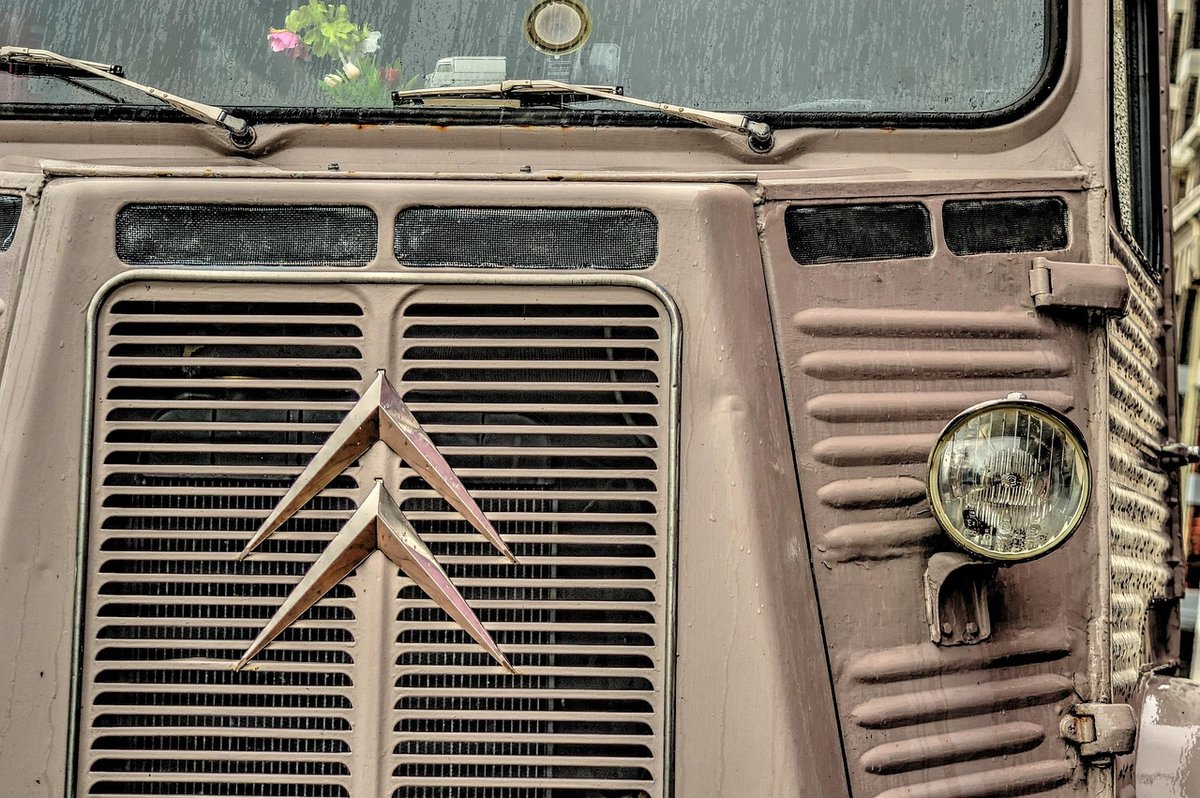 Hy-Line Browns: Expert Guide to Raising Egg-Laying Champions ...