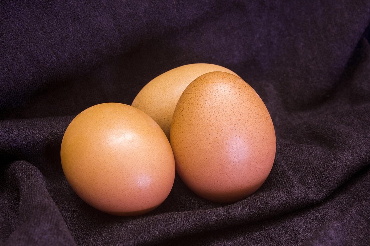 Boosting Chicken Fertility: Key Signs and Strategies - Feathered Farm Life