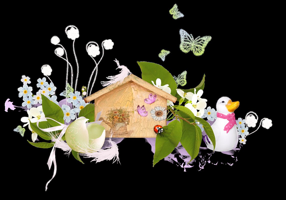 Unlocking the Secrets of Duck Egg Shells - Feathered Farm Life