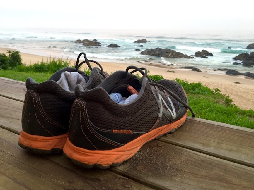 Sand vs Wood Chips in Runs: Which is Best? - Feathered Farm Life